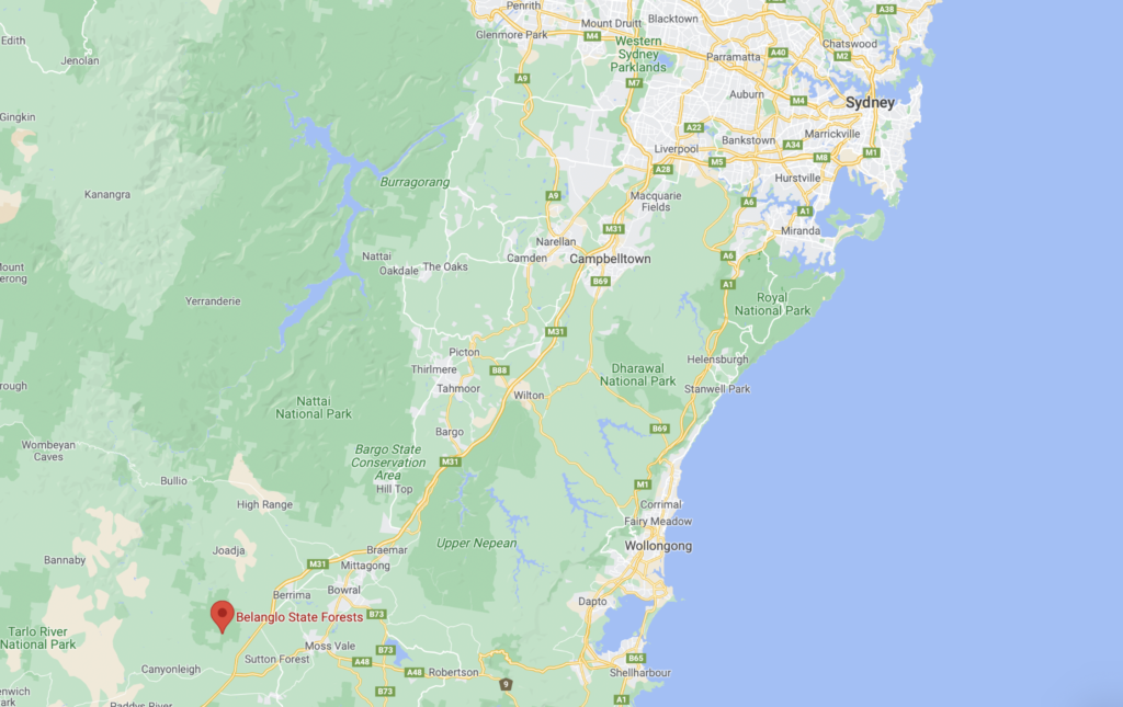 The Backpackers | Park Predators