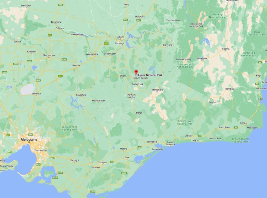 The Pilot | Park Predators