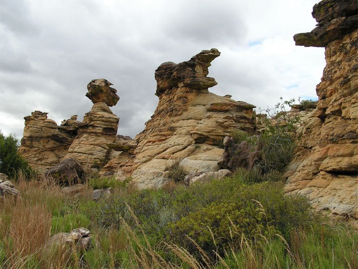 The Cyclist | Park Predators