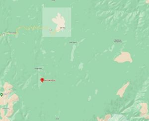 The Cook | Park Predators