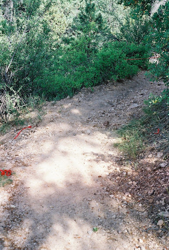 The Afterlife Part 1 | Park Predators